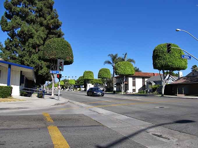 Tree-lined streets with perfectly manicured topiary remind you that Orange takes pride in its appearance, old-school civic pride still alive and well.
