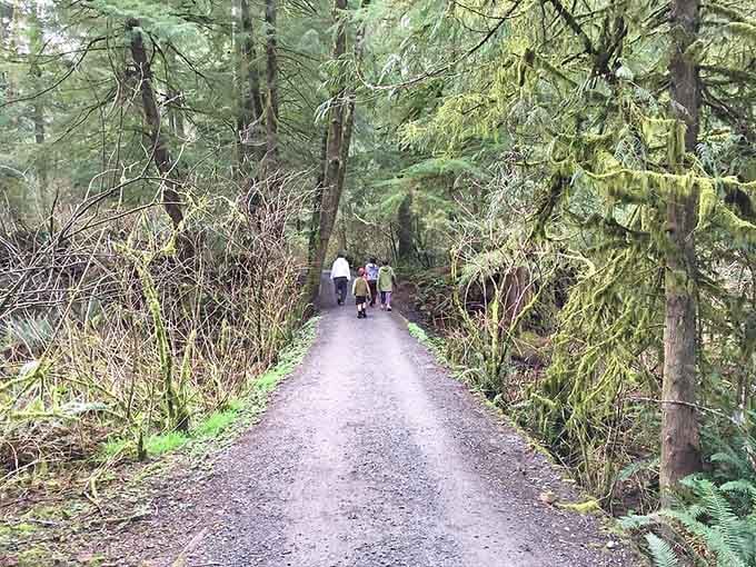 The forest trail to Short Sand Beach feels like walking through a living cathedral of ancient trees.