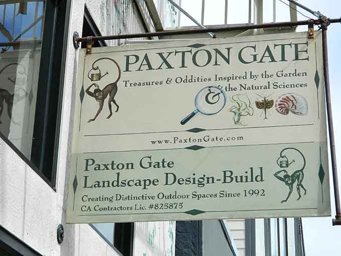 The shop's sign promises treasures and oddities, and boy, does it deliver on that delightful threat.