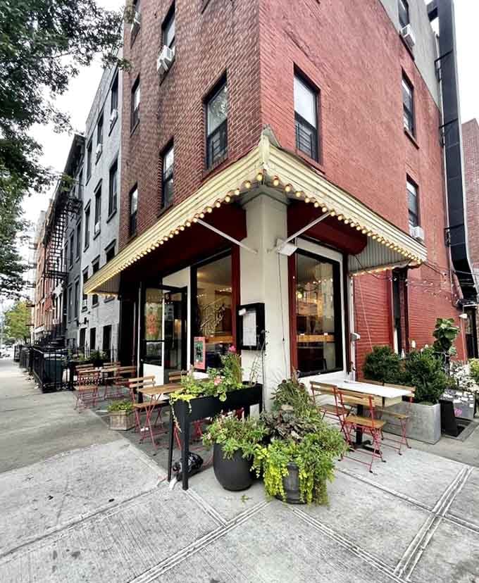 String lights and planters frame the entrance like nature's way of saying you've found something genuinely special here.