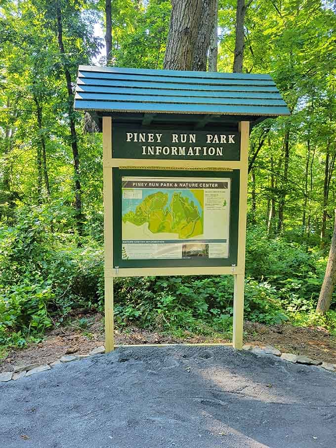 The park information board stands ready to guide your adventure, old-school style, no WiFi connection required.