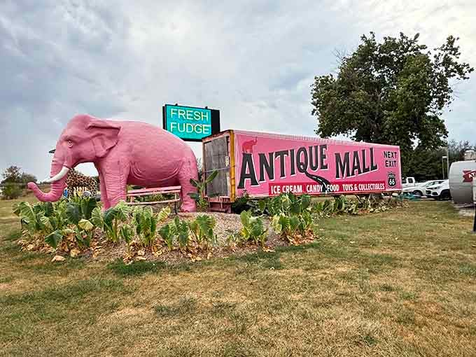 The pink pachydant stands guard over treasures, proving that bigger is definitely better for roadside landmarks.