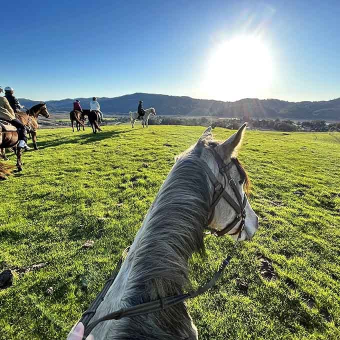 Horseback riding through sun-drenched fields where the scenery does all the heavy conversational lifting for you.