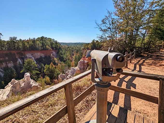 The scenic overlook provides that perfect vantage point where you can truly appreciate the canyon's massive scale.