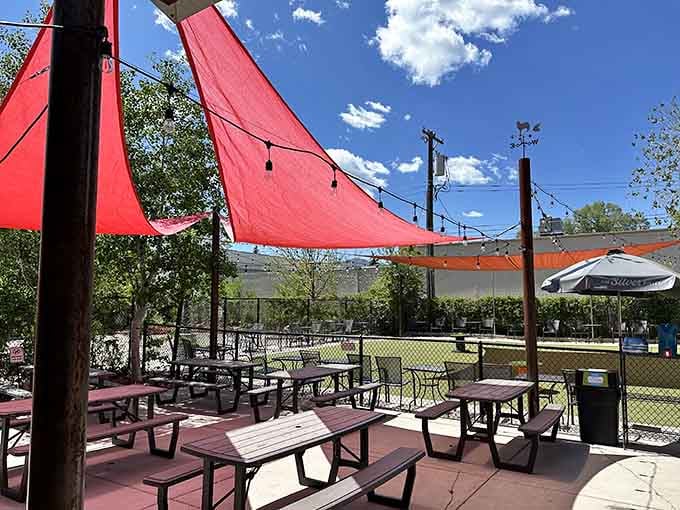 Shaded outdoor patio seating overlooks the play area, letting you enjoy sunshine while supervising canine shenanigans.