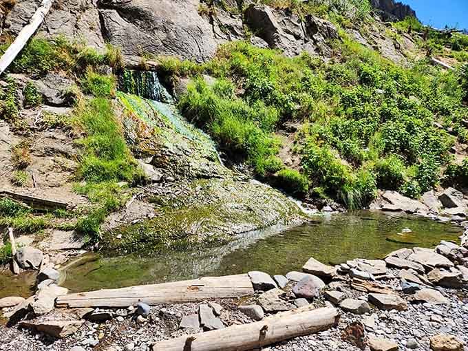 The main spring emerges from bedrock, delivering perfectly heated water that's been percolating underground for who knows how long.