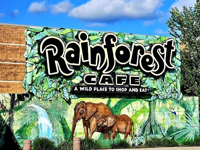 That tagline says it all: "A Wild Place to Shop and Eat" undersells the experience waiting inside.