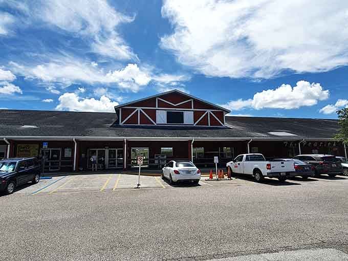 The iconic red barn welcomes visitors, standing proud as Bradenton's treasure hunting headquarters for decades of weekend adventures.