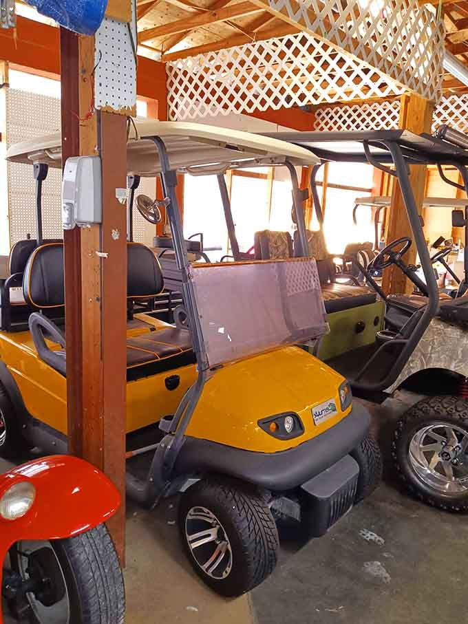 Golf carts lined up and ready, because walking is overrated when you're treasure hunting.