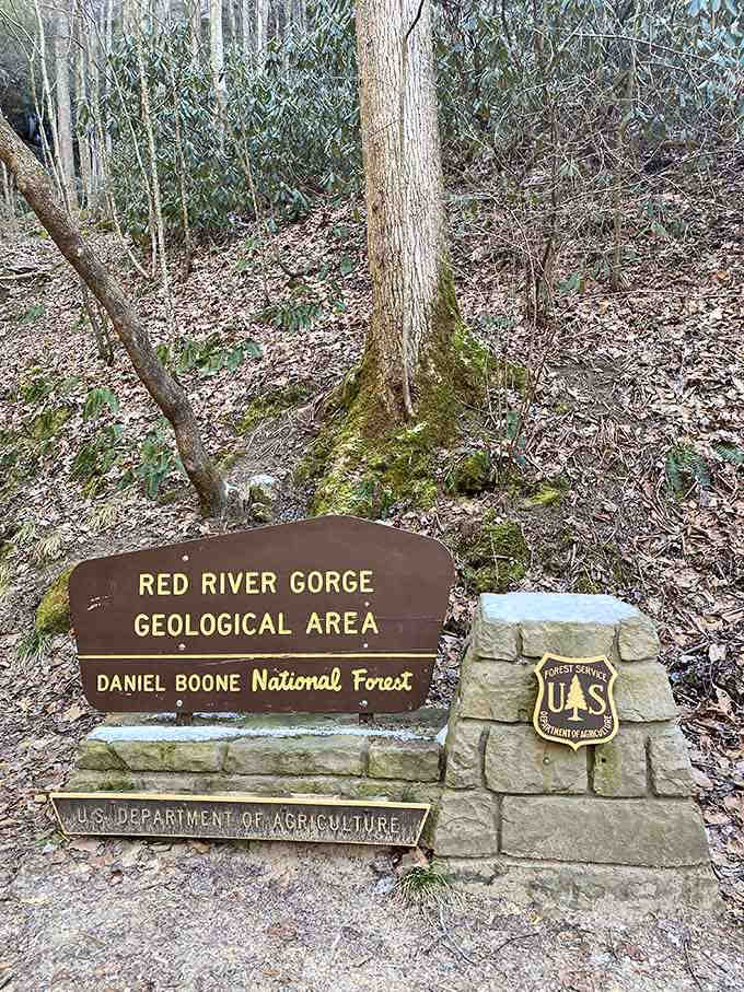 The official Forest Service sign marking your arrival at geological paradise, where the real adventure begins beyond this trailhead.