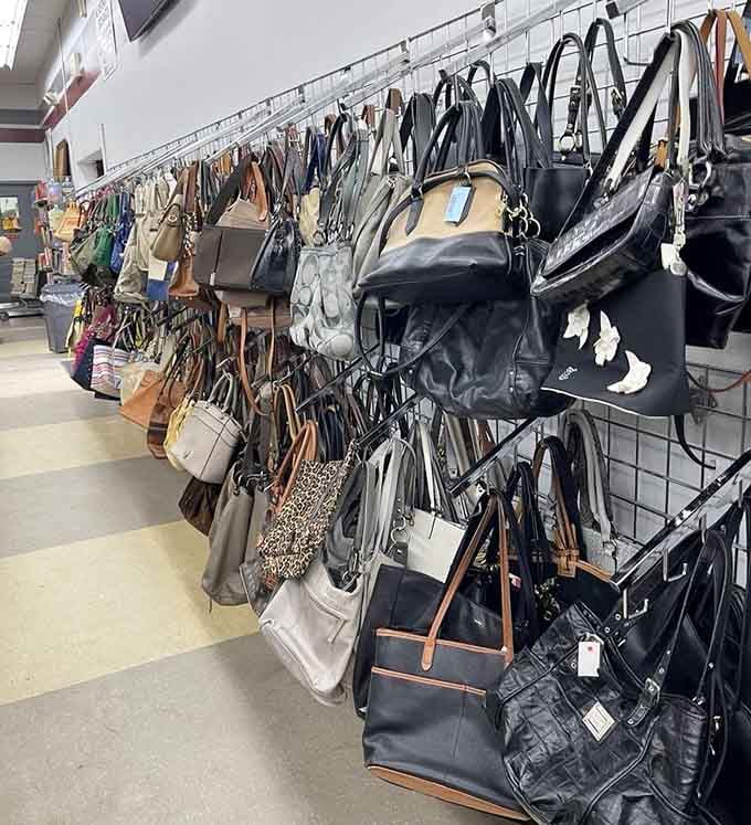 Handbags hanging like a department store display, minus the department store sticker shock at checkout.