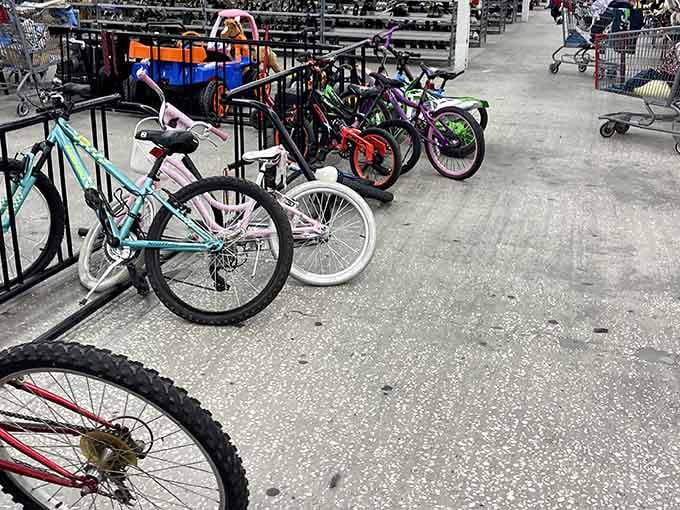 More bikes than a suburban garage sale, each one representing freedom on two wheels at unbeatable prices.