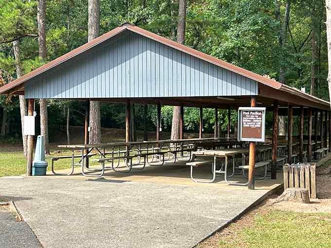 This covered pavilion proves that even surface-dwellers deserve a comfortable spot to contemplate the mysteries lurking below.