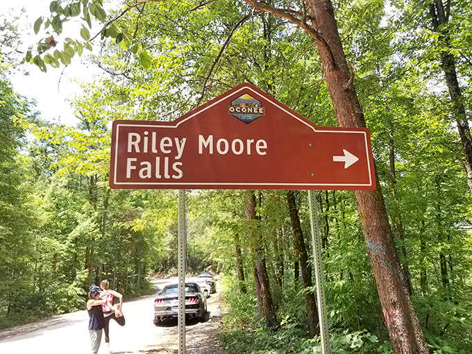 That brown directional sign pointing to Riley Moore Falls is basically an arrow pointing directly toward your next great adventure.