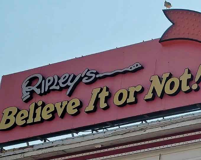 Ripley's iconic "Believe It or Not!" branding promises exactly the kind of oddity that makes vacations memorable.
