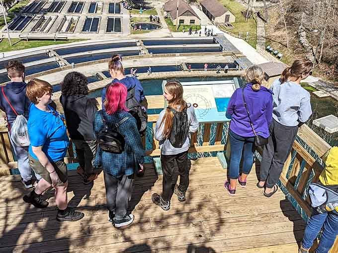 Young visitors learn about trout production, discovering where their fishing adventures actually begin before hitting the river downstream.