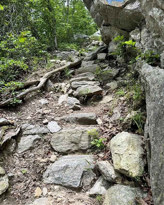 Stone steps carved by time and footsteps lead upward, each one a small victory toward the summit.