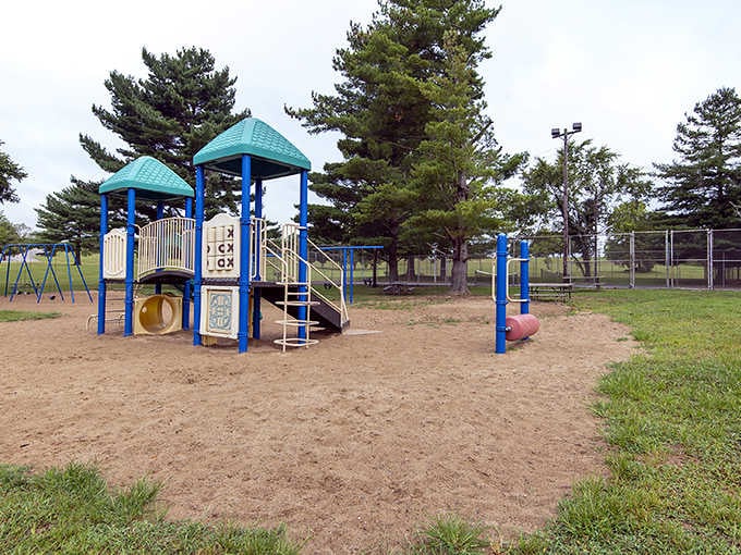 That bright blue playground equipment promises hours of fun for grandkids while you relax nearby with lake breezes.
