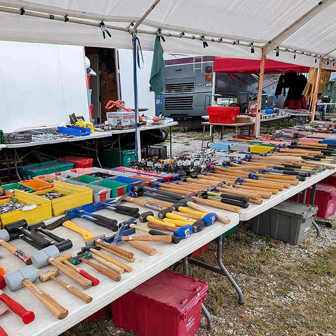 Hand tools arranged with the precision of a surgical suite, ready to fix everything you've been ignoring in your garage.