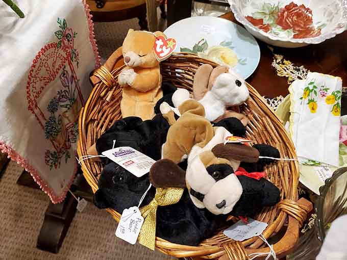 Beanie Babies still waiting patiently to fund someone's retirement, bless their little stuffed hearts and tags.