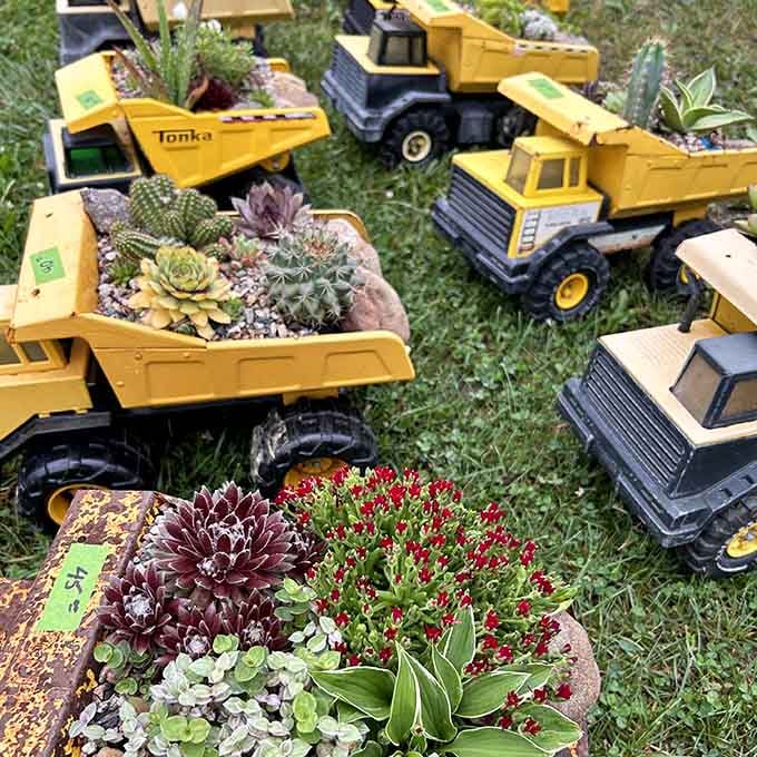 Tonka trucks turned planters, because even toy construction equipment deserves a peaceful retirement hauling flowers.