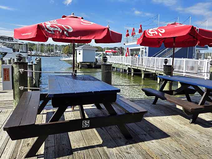 Waterfront tables with red umbrellas offering shade, views, and the perfect excuse to order another round of everything.