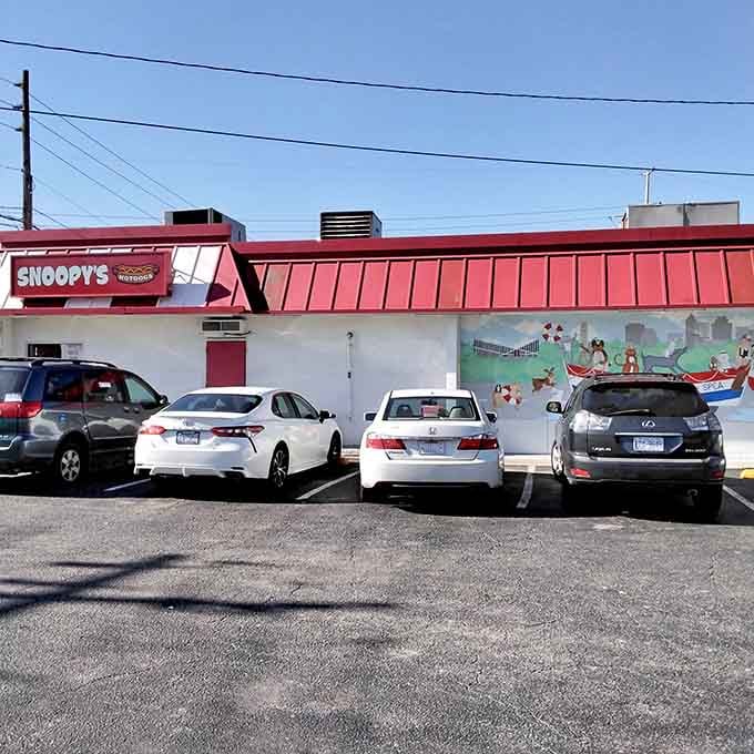 The parking lot tells the real story: regular folks in regular cars getting extraordinary value for their money.