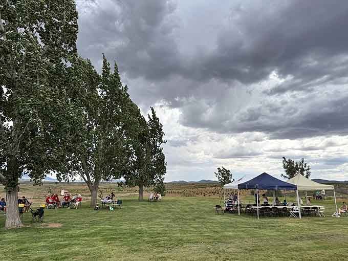 Green lawns and shade trees create an unexpected oasis where wine lovers gather under ever-changing desert skies.