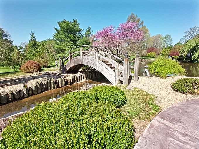 Japanese gardens in Missouri prove beauty transcends borders, offering zen moments without the international airfare.