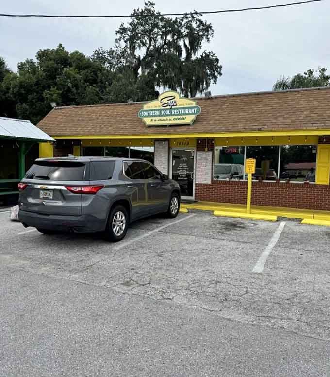 That parking lot fills up fast, because word spreads quickly when someone's cooking this good in your neighborhood.