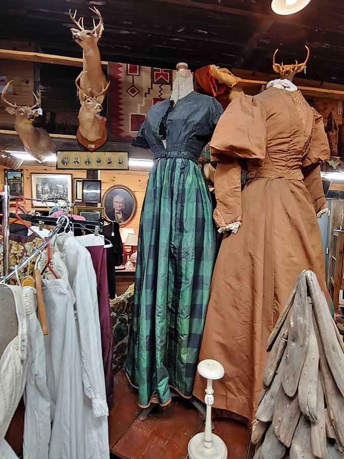 Vintage clothing with taxidermy creates displays that are equal parts museum exhibit and fever dream, wonderfully so.