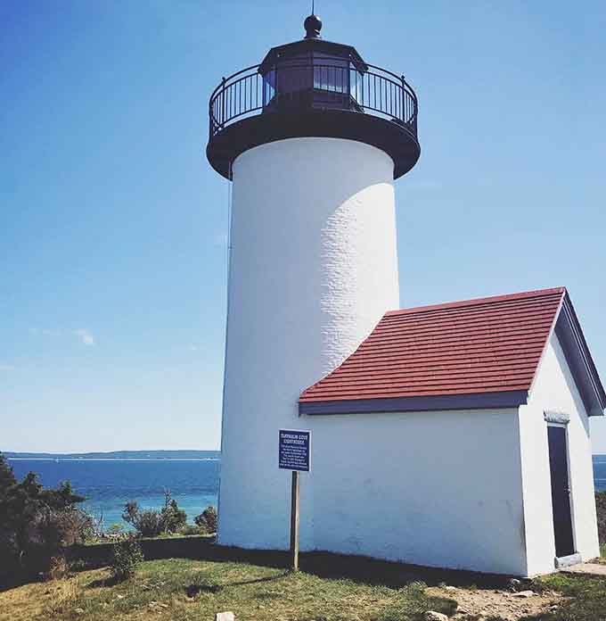 The red roof pops against that brilliant blue sky like nature's own color coordination masterclass.