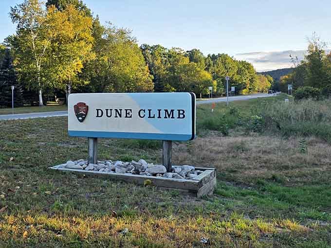 The official welcome to your sandy adventure, where sensible shoes become your new best friends immediately.