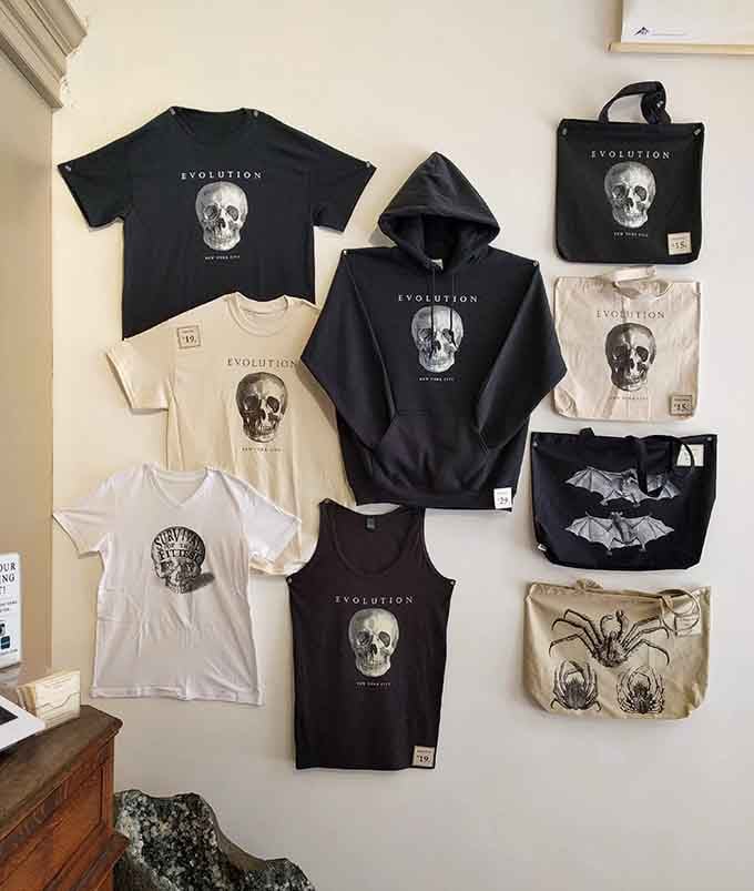 Store merchandise featuring skulls and bats, for when you want your wardrobe to match your curiosity cabinet.