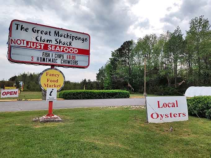 The roadside sign boldly declares "Not Just Seafood" but let's be honest, the seafood alone justifies the trip.