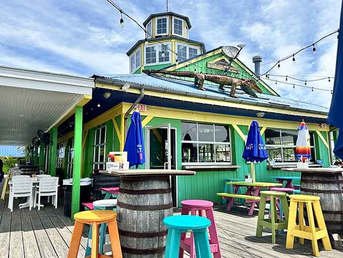 The outdoor patio with its cheerful colors and barrel tables, where every seat feels like the best seat.