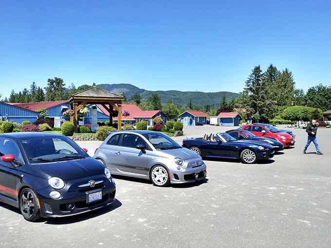 A full parking lot on a weekday tells you everything: people drive from everywhere for this rural dining gem.
