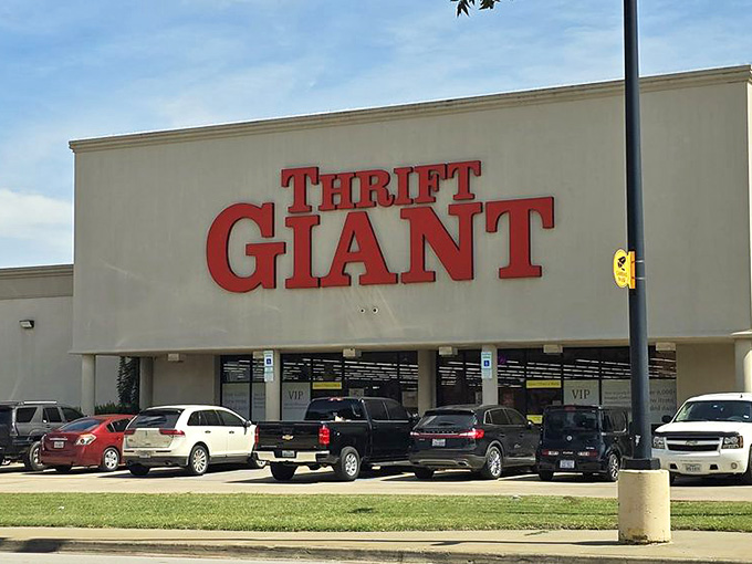 A parking lot full of cars belonging to fellow treasure hunters who understand that the best things aren't always new.
