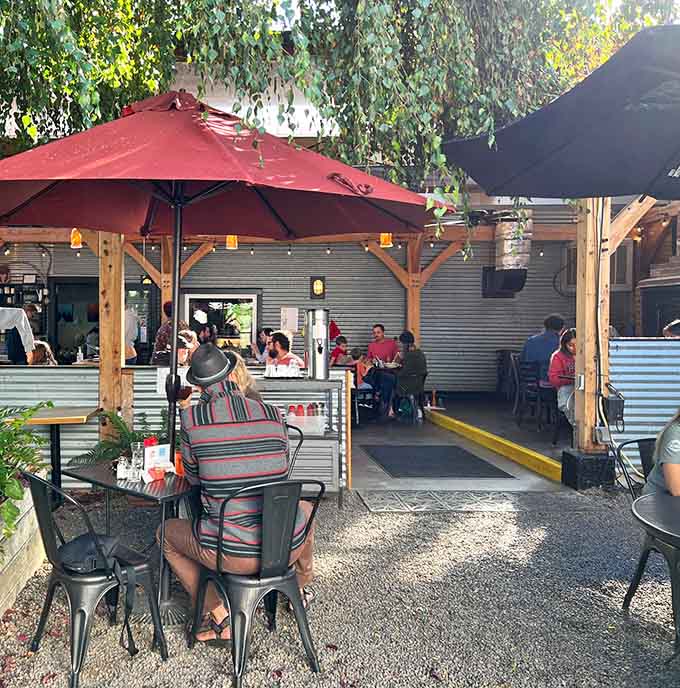 Outdoor dining under umbrellas where dogs and humans share meals in perfect, peaceful harmony together.