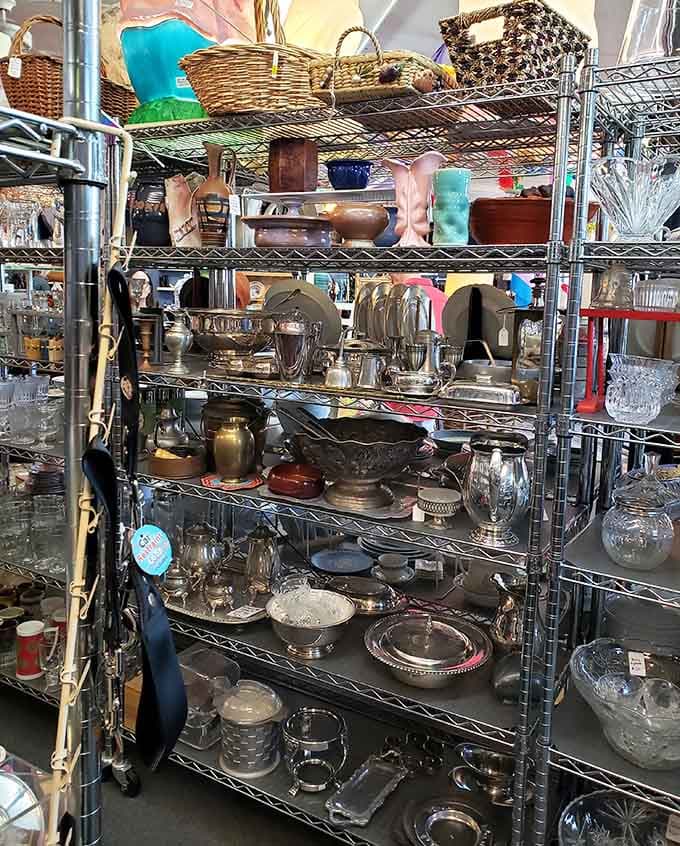 Metal shelves holding random treasures that somehow make perfect sense when you're actually there browsing.