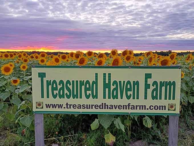 The sign that marks your arrival at happiness, measured in acres of pure sunshine.