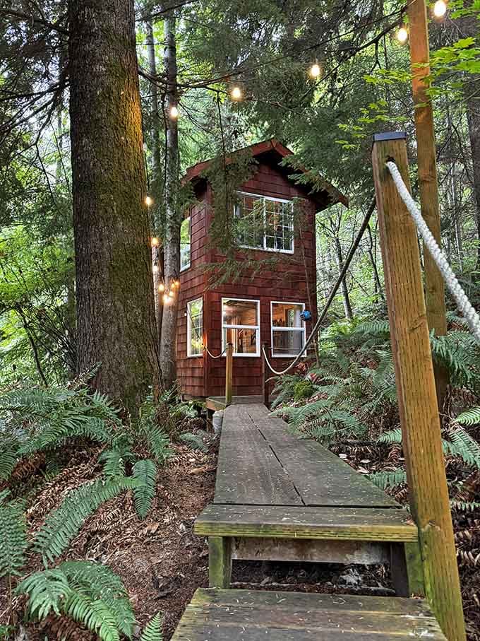 String lights guide you home through the forest like a fairy tale, but with better Wi-Fi options.