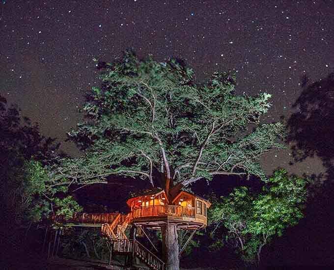 Under the stars, the treehouses glow like fireflies, creating their own constellation in the Texas Hill Country darkness.