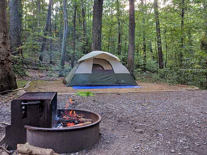 A campsite where your biggest decision is whether to roast one marshmallow or the entire bag tonight.