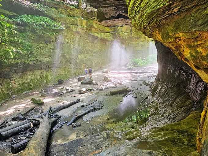 Morning mist swirls through the gorge like special effects, while golden light transforms ordinary sandstone into something magical.