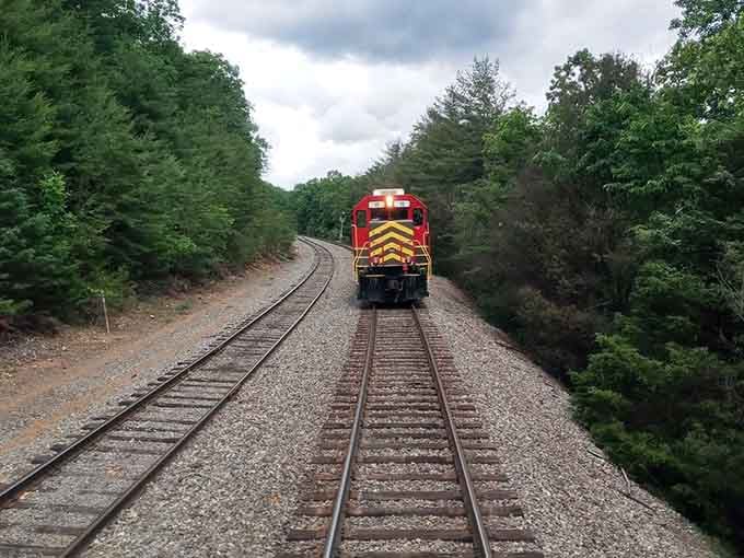 Those parallel tracks disappearing into the forest? That's your path to adventure, friends. All aboard!