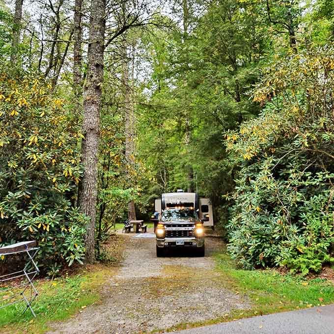 Van Hook Glade Campground offers front-row seats to the kind of peace you can't stream on any device.