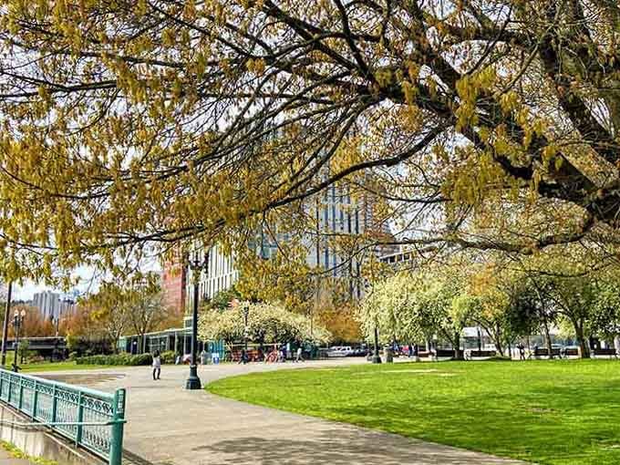Golden leaves frame the waterfront path, turning an ordinary walk into a stroll through nature's art gallery.