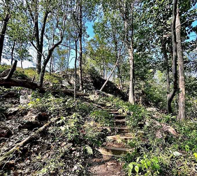 Nature's stairmaster comes with better views and fresher air than any gym membership could ever promise you.