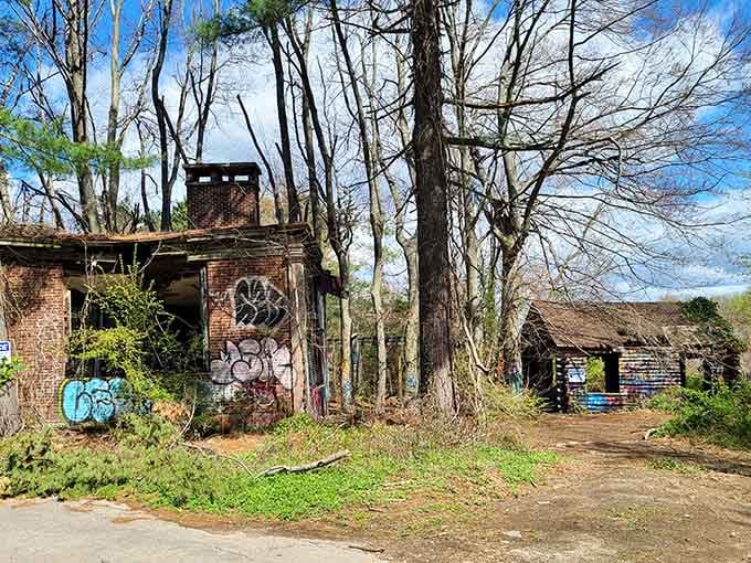 Brick chimney standing sentinel over graffiti-covered ruins proves that even abandoned estates can age with unexpected artistic dignity.